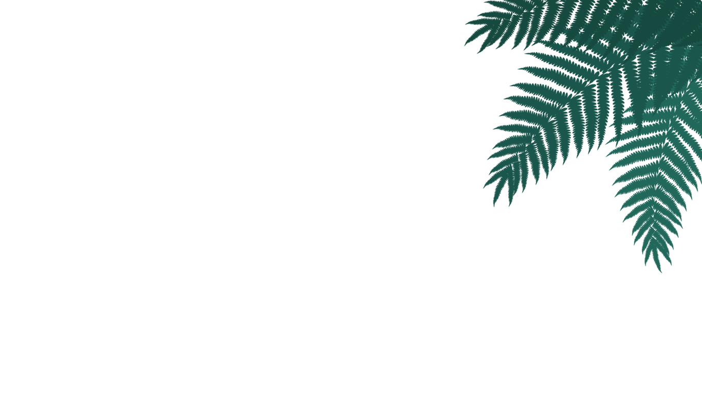 Parallax Scrolling Website | Codehal Parallax Scrolling Website | Codehal
